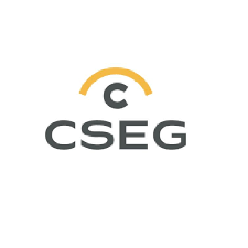 CINTO ERGONOMICO - CSEG